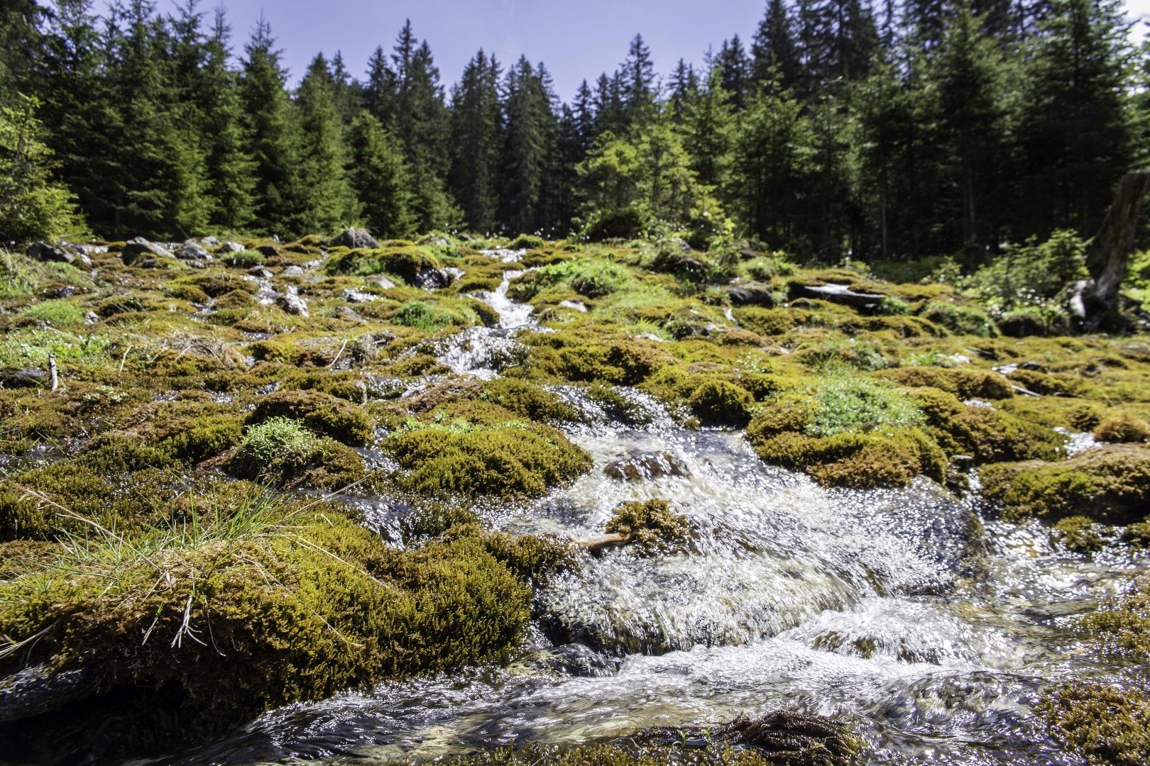 Summer vacation in Raurisertal | Holiday with the family in Rauris